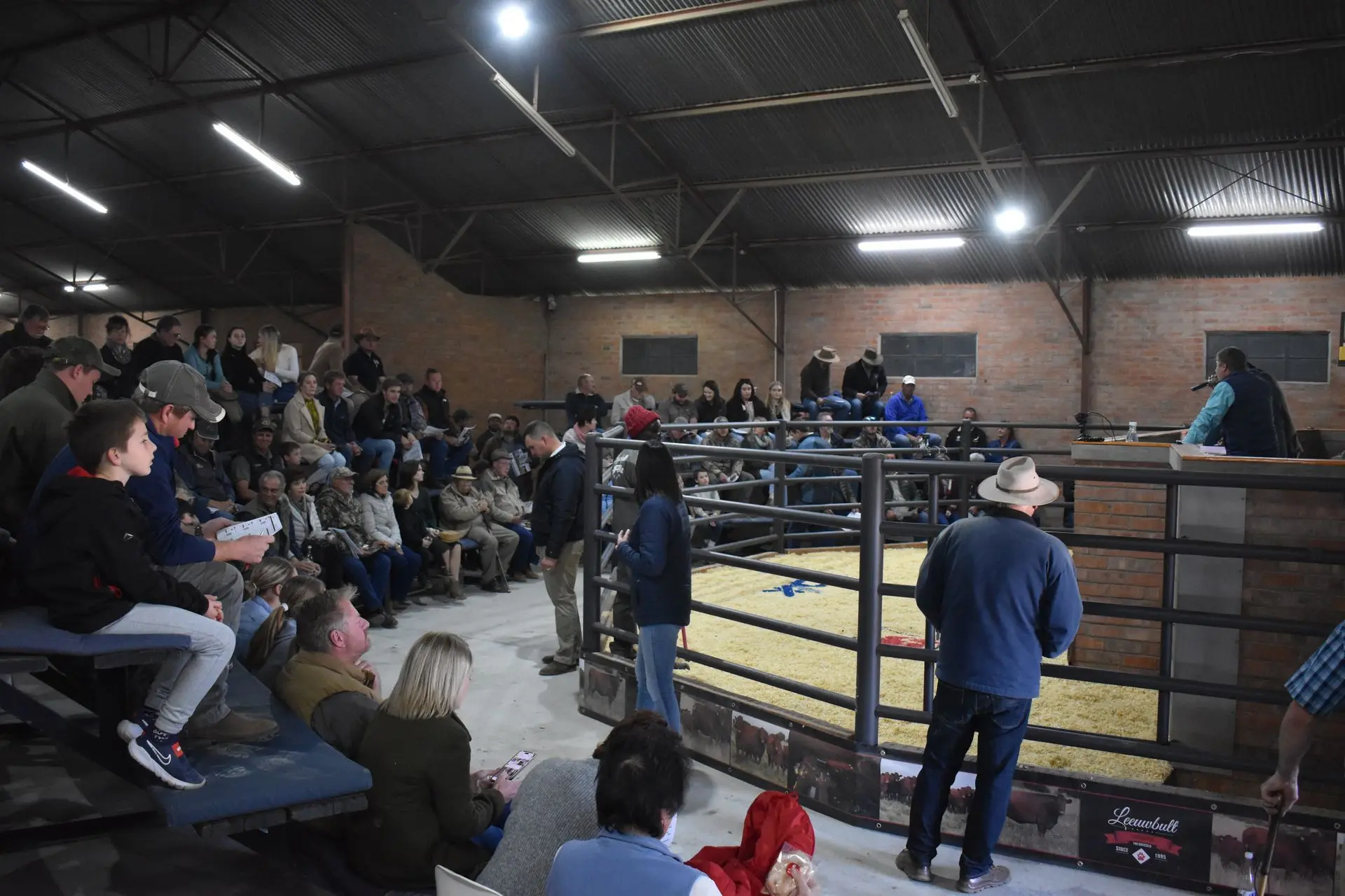 Leeuwbult Bonsmara Cattle Stud